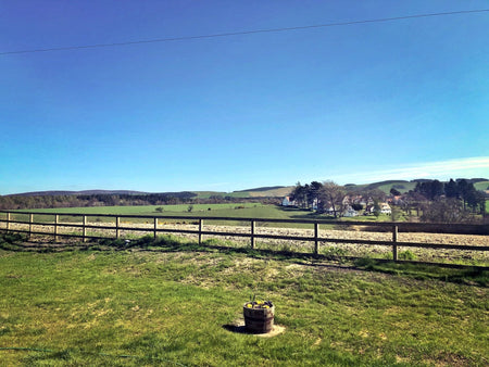 Humbie Hub | Shop, Café, Post Office & Holiday Let | East Lothian